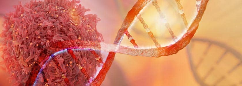 Prime editing targets liver cancer | IDT